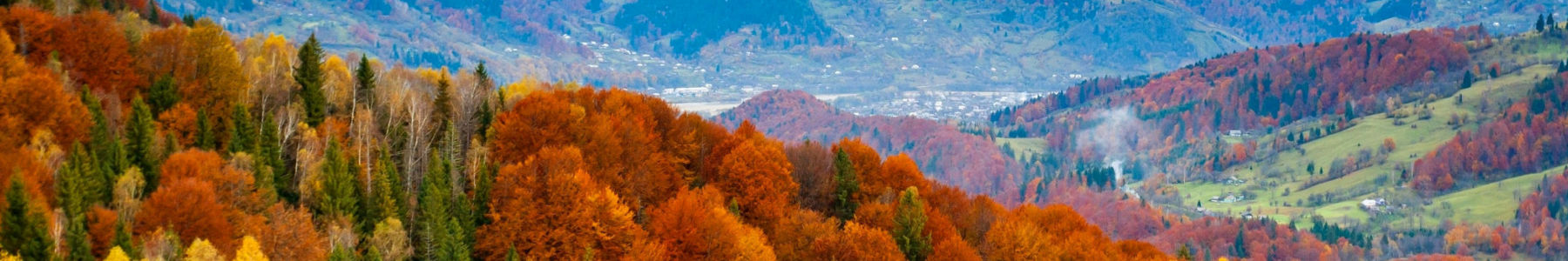 Catholic Prayers – Parish of St. Ann